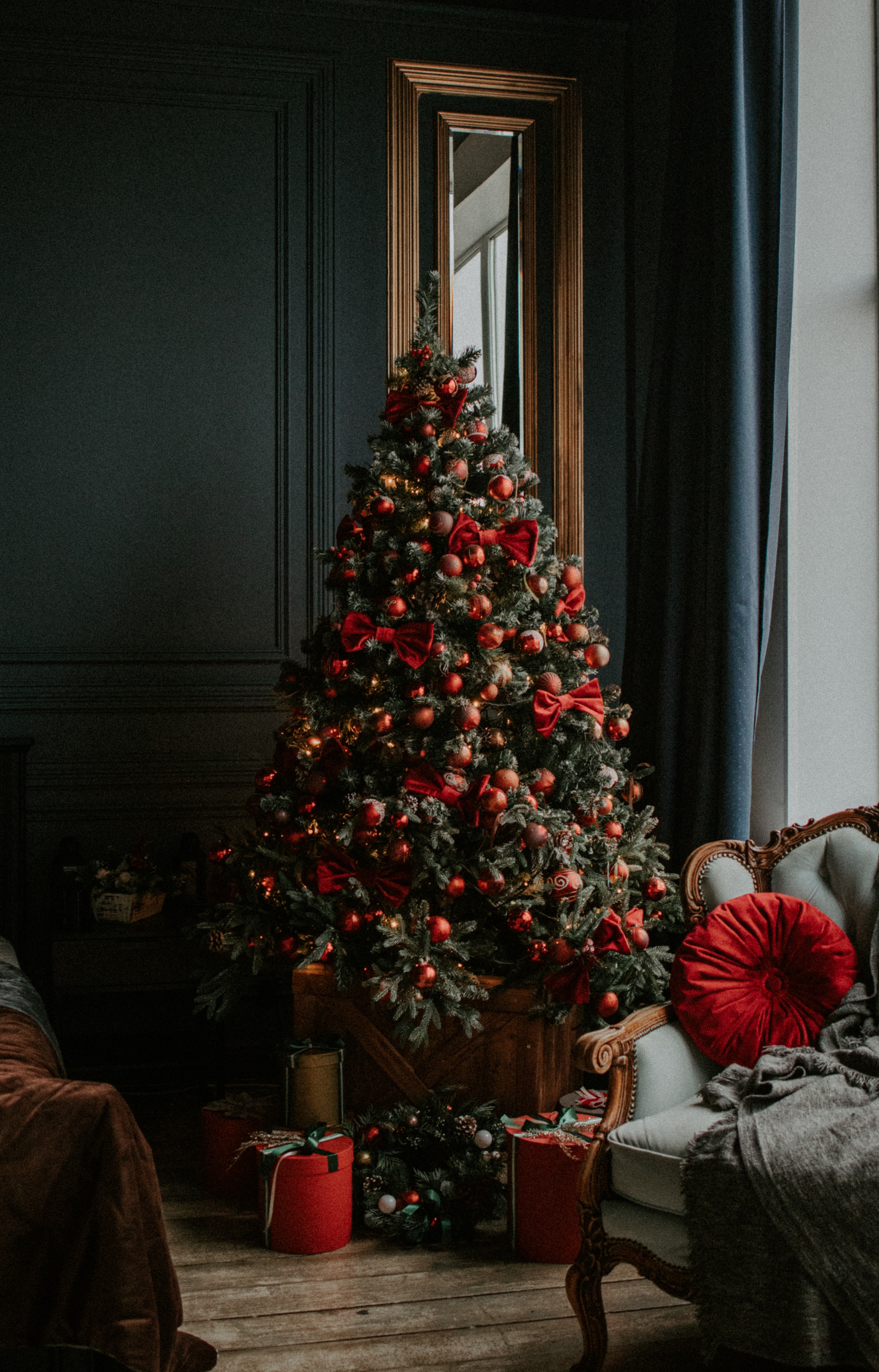 Fake vs Real Christmas Trees – the home sustainable